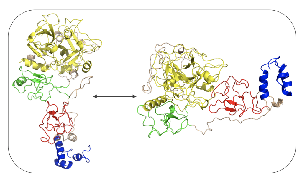 SDL Digital Patient - NHR4CES