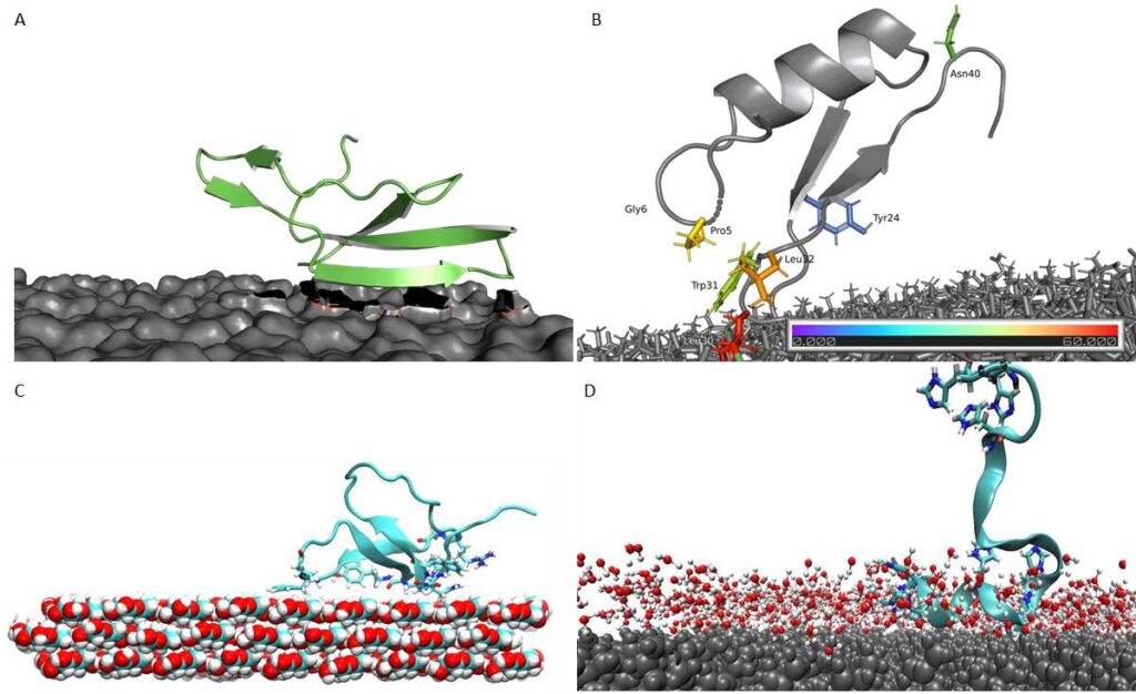 Molecular Dynamics Simulations of Anchor Peptides−Surface Interactions ...