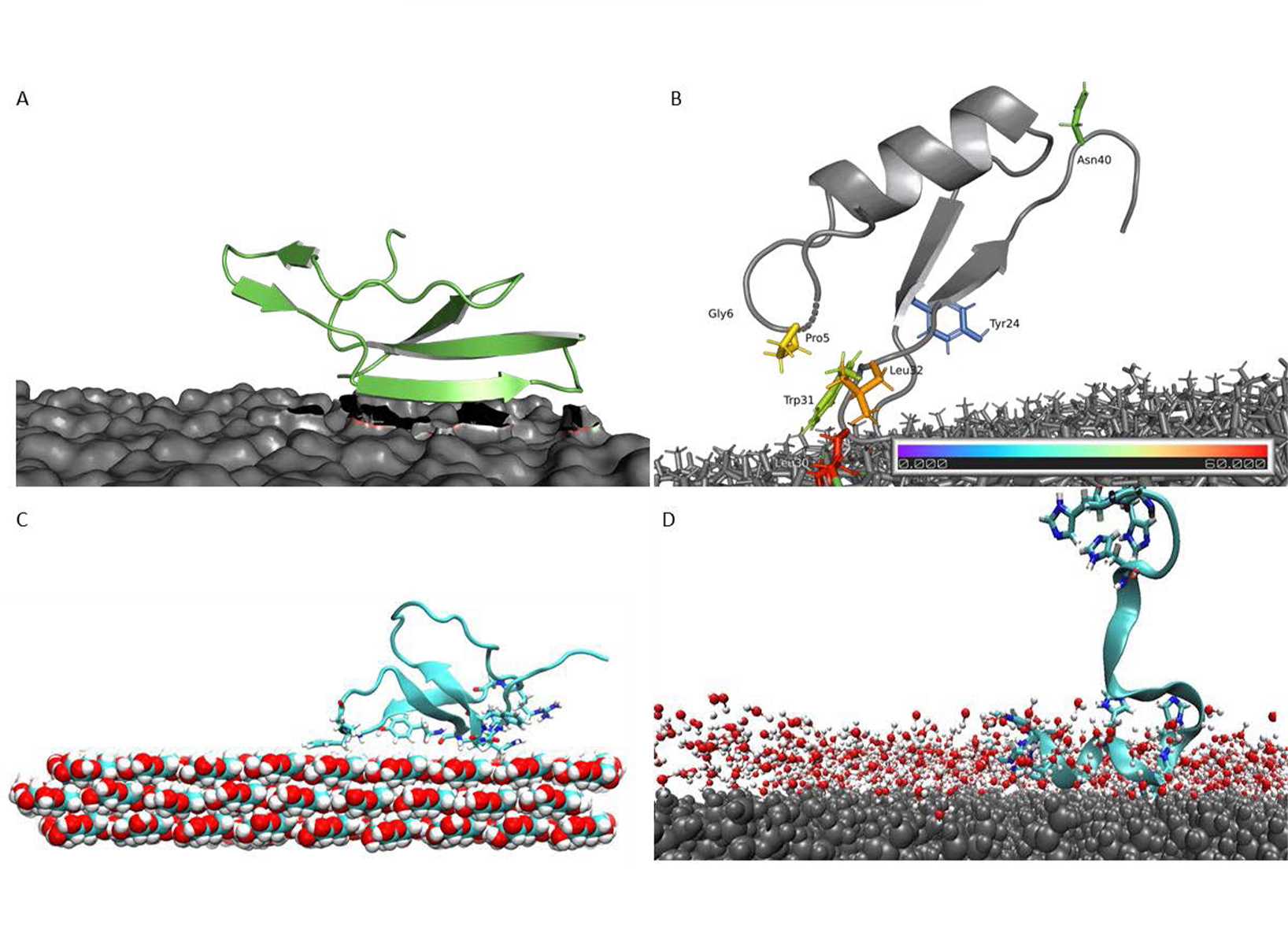 Molecular Dynamics Simulations of Anchor Peptides−Surface Interactions ...