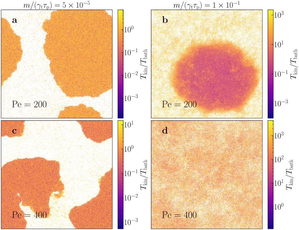 Phase Diagram of Inertial Active Brownian Particles - NHR4CES