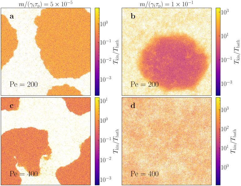 Phase Diagram of Inertial Active Brownian Particles - NHR4CES