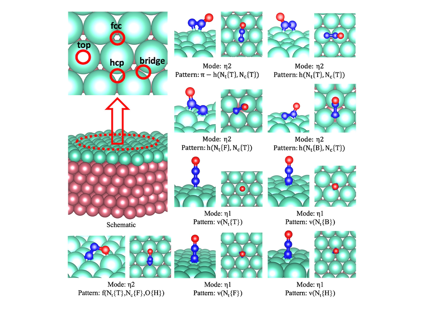 First Principles Ab Initio Thermodynamics of Single Atom Alloy ...